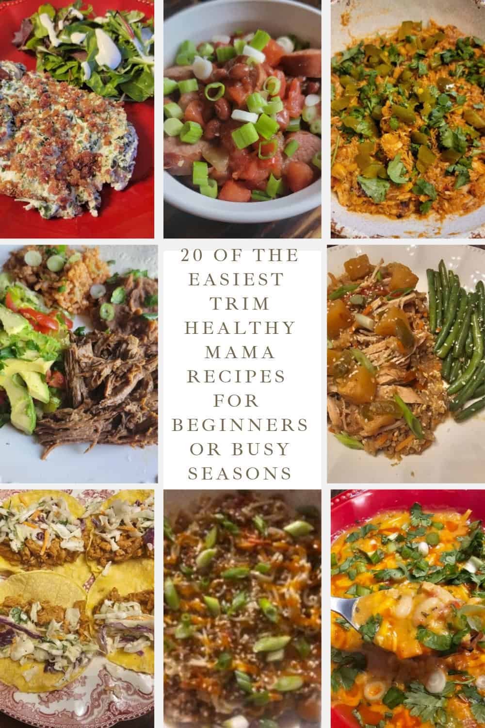 20 Of the Easiest Trim Healthy Mama Recipes for Beginners - Jennifer ...
